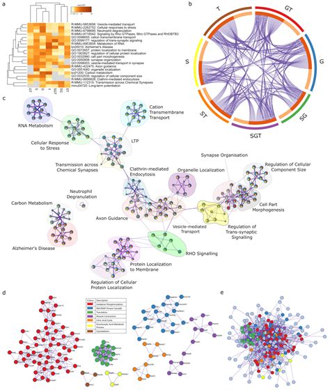 Respirasome Proteins Are Regulated By Sex Hormone Interactions In The Brain