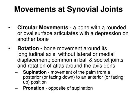 Ppt Joints Bone Connections Powerpoint Presentation Free Download Id 176707