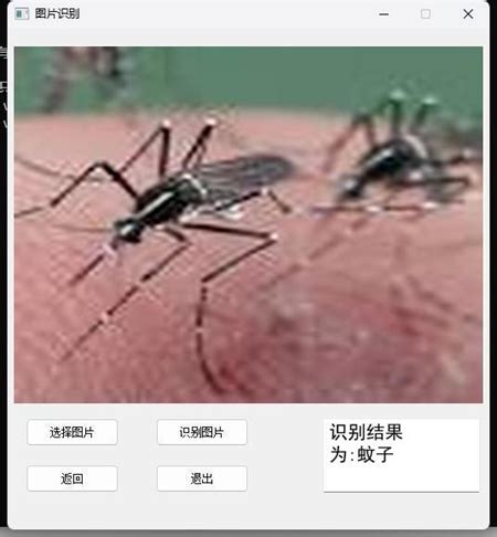 期通过python pytorch训练会飞的昆虫识别 含数据集 含数据集 虫口模型数据集怎么通过python生成 CSDN博客