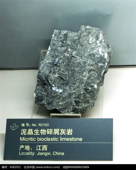 泥晶生物碎屑灰岩标本高清图片下载红动中国