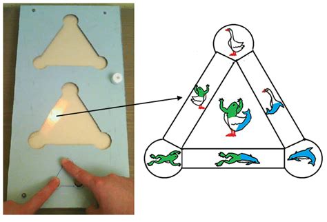 Simultaneously Pressing Any Two Buttons Lights Up The Line Connecting Download Scientific