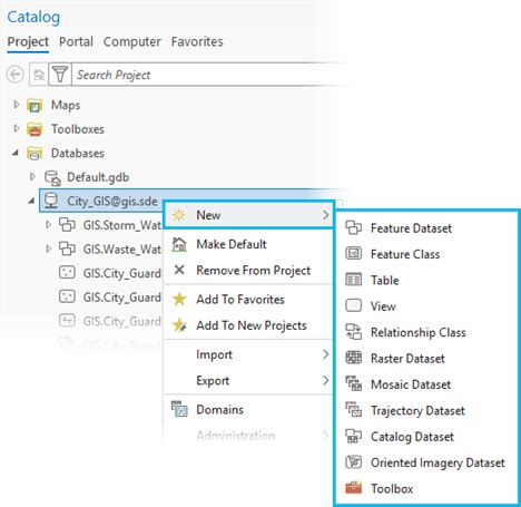 Create Datasets In A Geodatabasearcgis Pro Documentation
