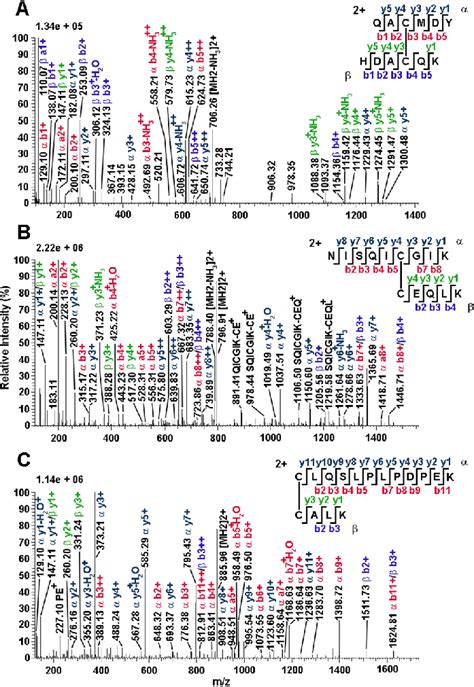 Fragmentation Spectra Of Disulfide Bridged Peptides Identified In The