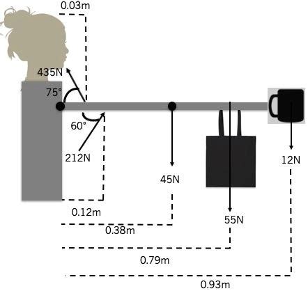 SOLVED Calculate The Torque Created By Each Force Acitng About The Shoulder Jointvector
