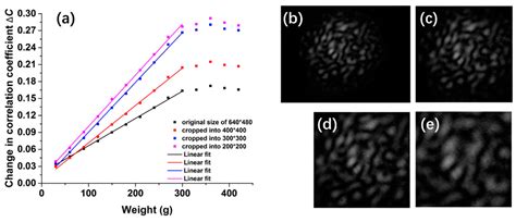 Fiber Optic Point Based Sensor Using Specklegram Measurement