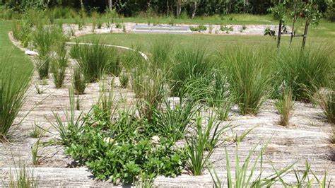 Bioretention Systems The Different Types And Benefits River Sands