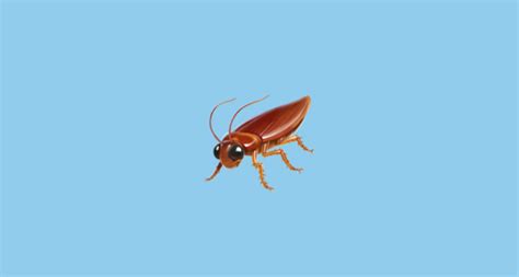 🪳 Cockroach Emoji On Twitter Emoji Stickers 131