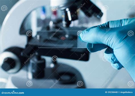 Test Sample For Microscope Stock Photo Image Of Glass