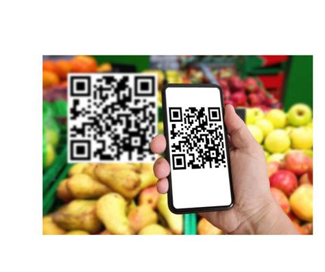 Understanding How D Barcodes Work D Barcodes Canada