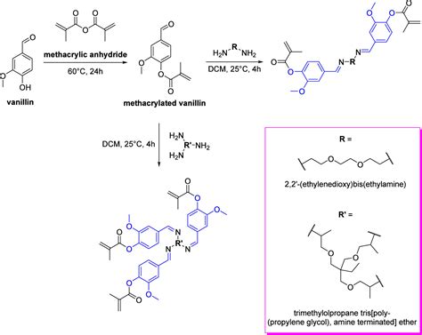 Lignin Based Covalent Adaptable Network Polymers─when Bio Based Thermosets Meet Recyclable By