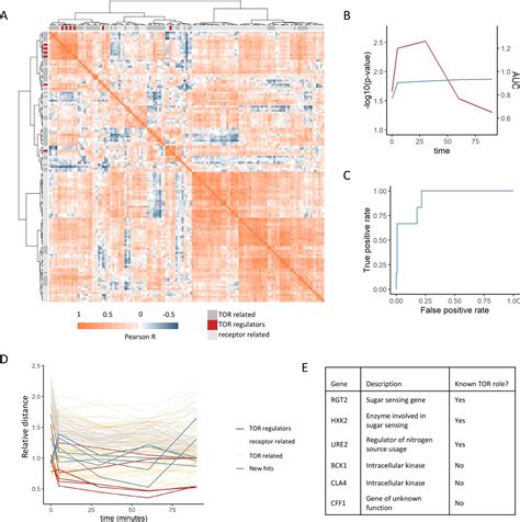 Dynamic Metabolome Profiling Uncovers Potential Tor Signaling Genes Elife