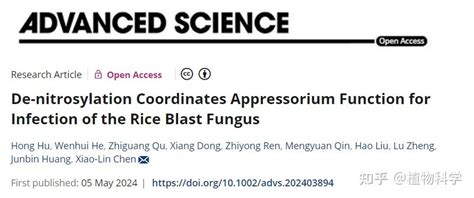 Advanced Science 华中农业大学陈小林课题组在翻译后修饰调控稻瘟菌致病机制方面取得新进展 知乎
