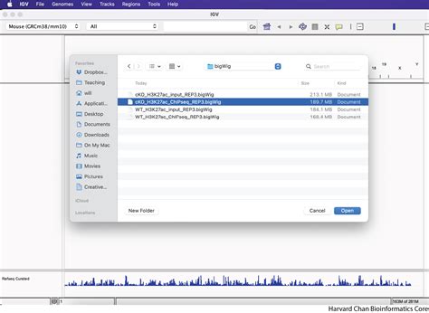 Peak Visualization Using A Genome Browser Peak Analysis