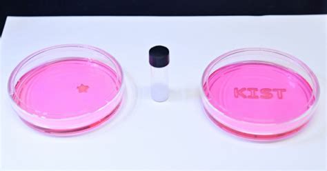 세포 독성없는 인공장기 인쇄 기술 나왔다