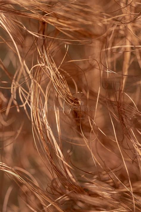 Copper Thin Wire Used In The Manufacture And Manufacture Of Wires Stock