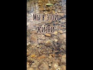 Всё будет хорошо обязательно...mp4 — Видео | ВКонтакте