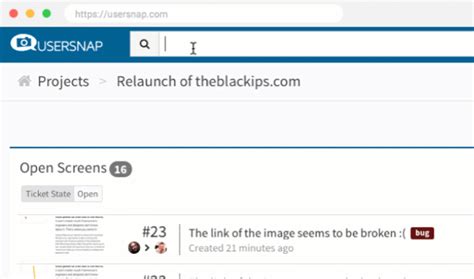 How To Use The Usersnap Bug Tracker