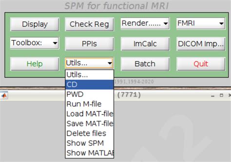 Statistical Parametric Mapping Spm Neurodesk