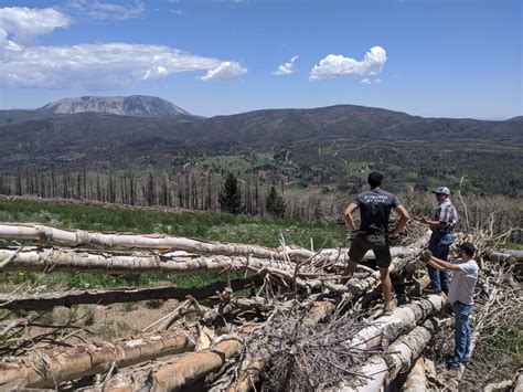 Spring Creek Fire Colorado Ecoculture