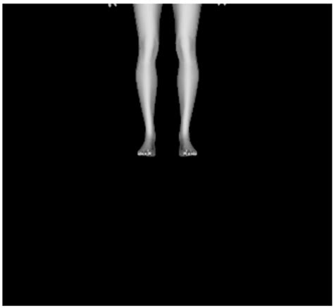 javascript how to position camera vertically in three js stack overflow