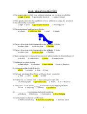 Completed EAS Exam Doc EXAM GRADATIONAL PROCESSES The Steepest Angle At Which Loose