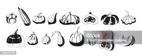 다양한 흑백 호박 원형에서 길쭉한 단색 벡터 세트까지 다양한 모양을 표시합니다 10월에 대한 스톡 벡터 아트 및 기타 이미지 10월 9월 가을 Istock