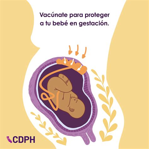 Pregnancy And Immunizations