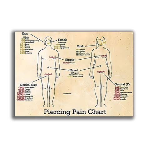 Ear Piercing Pain Diagram