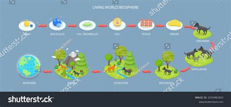 3d Isometric Flat Vector Conceptual Illustration Stock Vector Royalty Free 2255483423