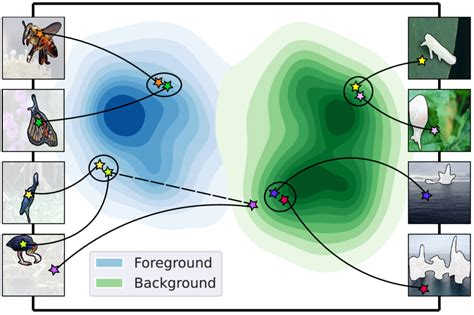 220313505 Contrastive Learning Of Class Agnostic Activation Map For