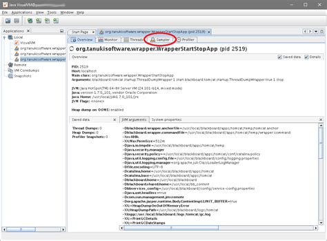 Accessing Jvisualvm In Order To Take Cpu Sample Screenshots