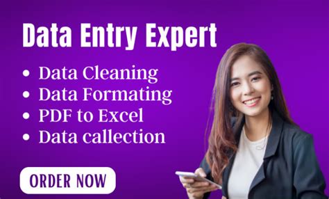 Do Accurate Fastest Data Entry Sorting Formatting And Cleaning By