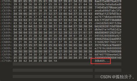 青少年ctf Misc 刷题记录 剧情大反转青少年ctf刷题 Csdn博客