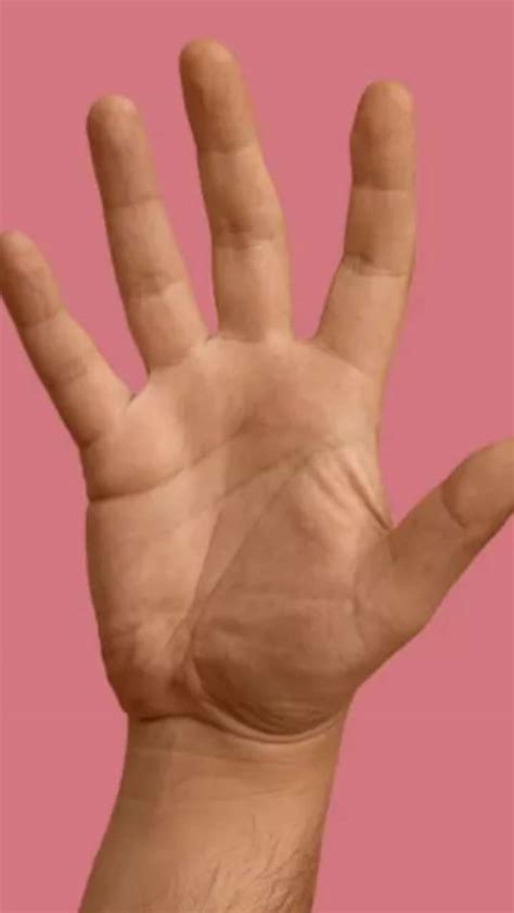 Hast Rekha Jyotish राजयोग के संकेत देती हैं हथेली की ये रेखाएं