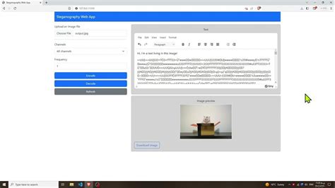 Steganography Web App Demo Code Youtube