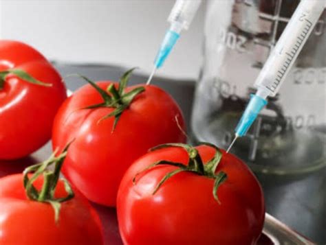 Genetically Modified Foods