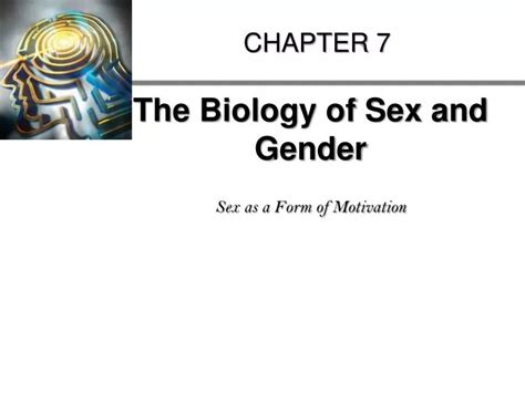 PPT CHAPTER PowerPoint Presentation Free Download ID