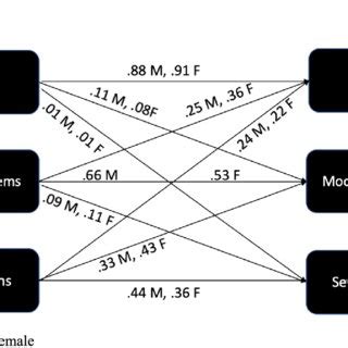 Transition Probabilities Across Waves By Sex Males N And Download Scientific