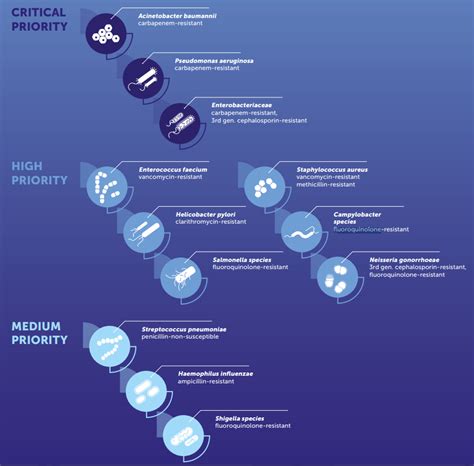 Who List Of Antibiotic Resistant “priority Pathogens” With New Updated
