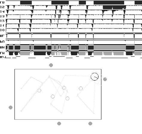 A Typical Evolved Robot With A Duplication Based Modular Architecture Download Scientific