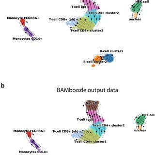Genotype Free RNA Seq Data Maintains Splicing Kinetics Information A Download Scientific