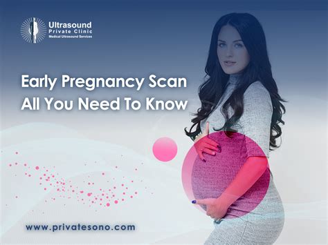 Early Pregnancy Scan All You Need To Know Private Ultrasound Clinic