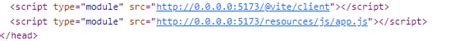 Does Laravel Vite Plugin Have An Independent Configuring Of Host