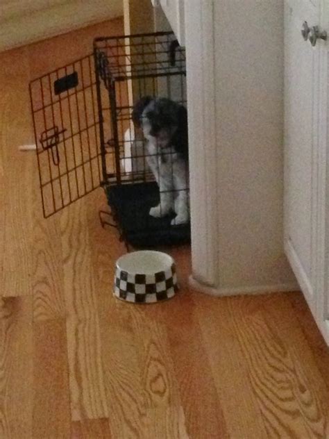 Ransomware How Reliable Backups Save Businesses Menlo Technical Consulting LLCMenlo