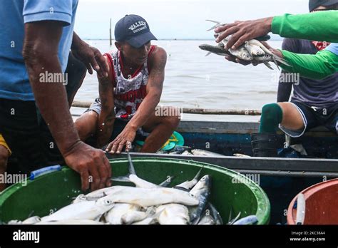 Because Of The Strong Of Typhoon Rolly Small Scale Fishermen In
