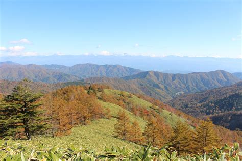 富士見台・湯舟沢山・横川山 Aoさんの恵那山・大判山・神坂山の活動データ Yamap ヤマップ
