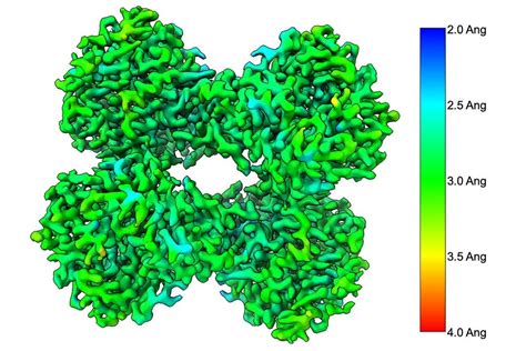 Unraveling The Mysteries Of The Molecular World Structural Biology