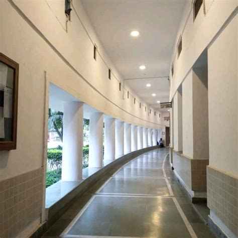 Mansi Varshney On Linkedin Collegelife Personalgrowth Learningjourney