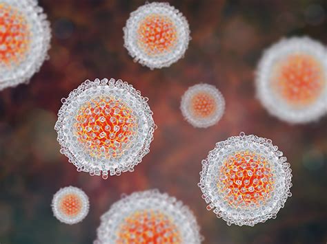 Hepatitis C Transmission Catie Canadas Source For Hiv And