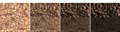 Texture Mapping Semantic Scholar